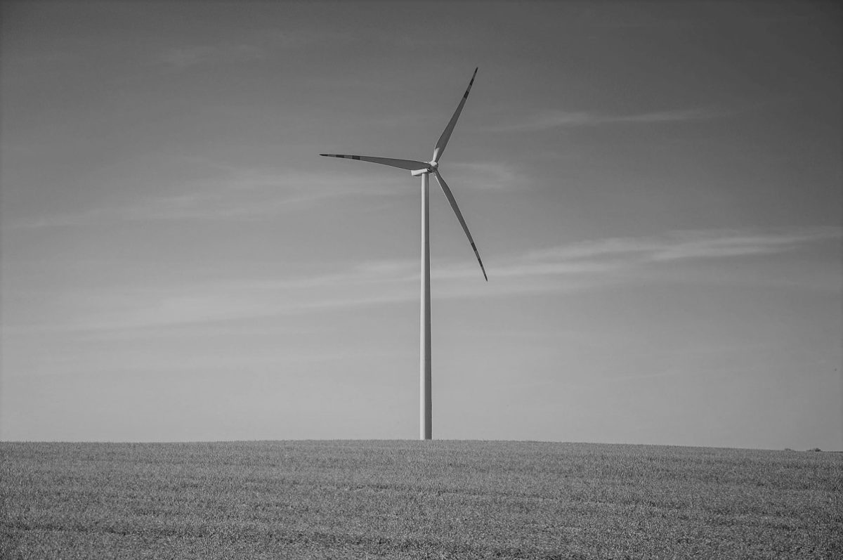 Capability | ROB CARR